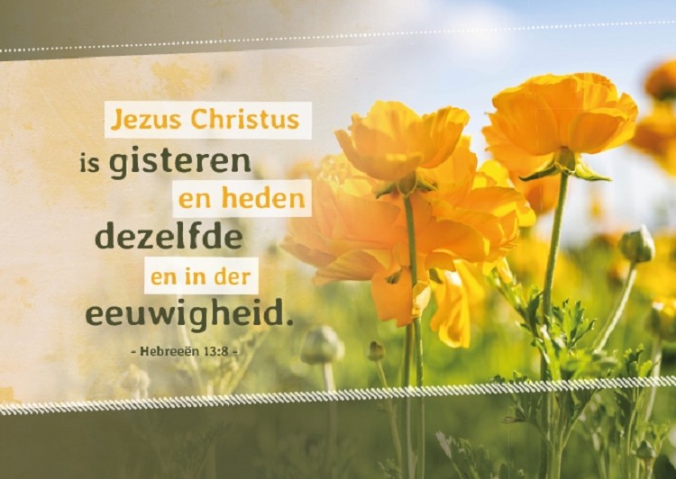 Blanco - Prentbriefkaart met tekst Statenvertaling (1151-1186) - blcweb