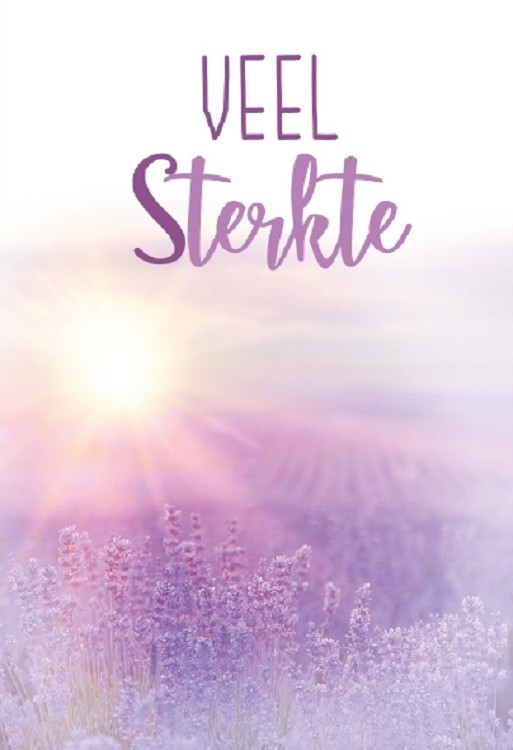 Sterkte - Every Day met tekst Statenvertaling (4001-4116) - blcwebshop