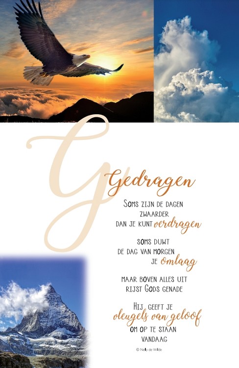 Bemoediging - Candle Lights (met gedicht) (4701-4758) - blcwebshop Bemoediging - Candle Lights (met gedicht) (4701-4758) - blcwebshop