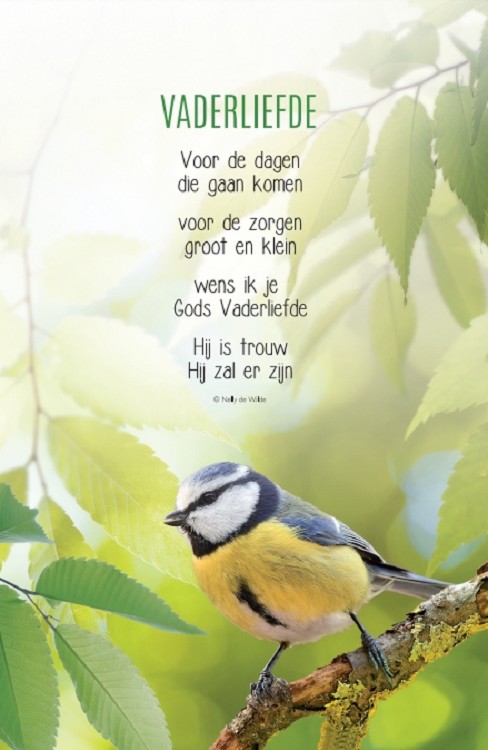 Bemoediging - Candle Lights (met gedicht) (4701-4758) - blcwebshop Bemoediging - Candle Lights (met gedicht) (4701-4758) - blcwebshop