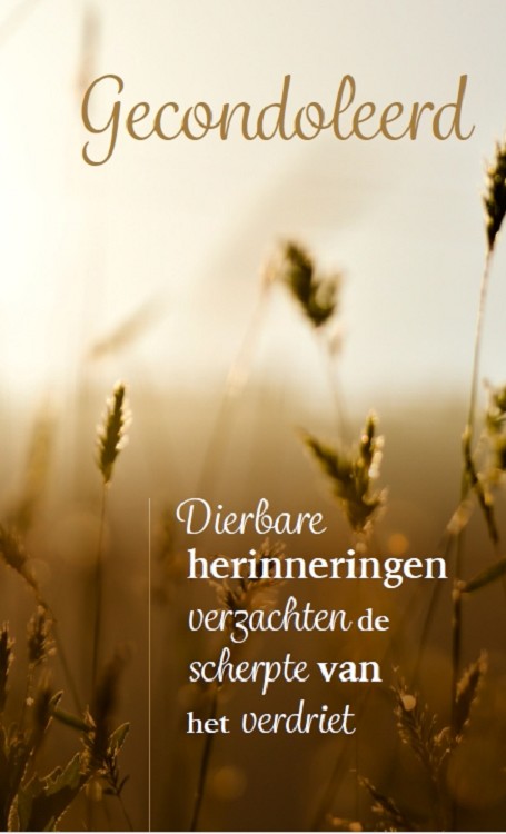 Deelneming - Light Condoleance (6101-6136) - blcwebshop